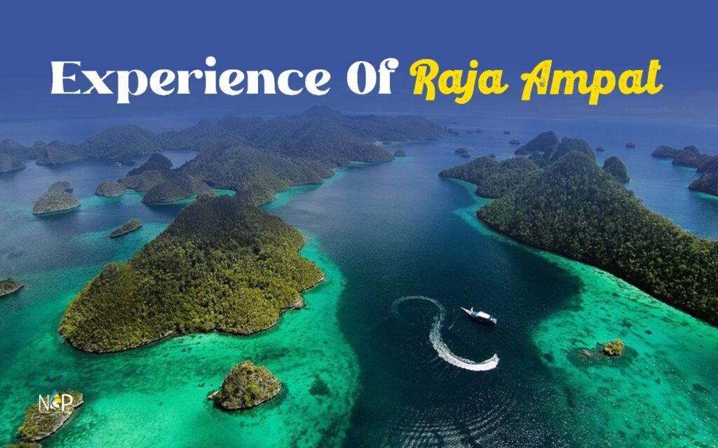 RAJA AMPAT PACKAGE - Tours & Travel | Paket Wisata Domestik & Internasional